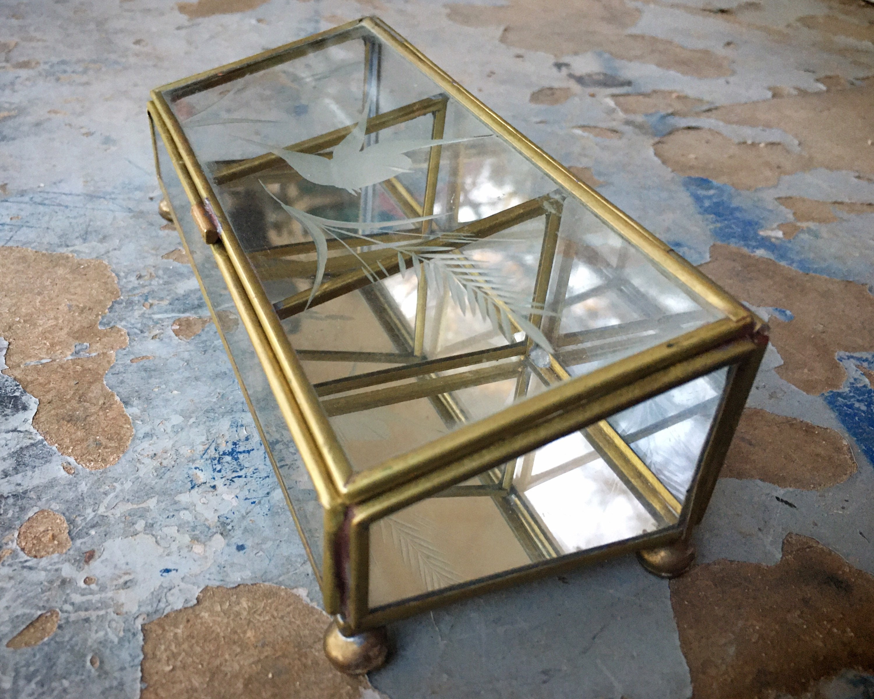 Small Tabletop Brass Etched Glass Box Display Case for Jewelry or ...