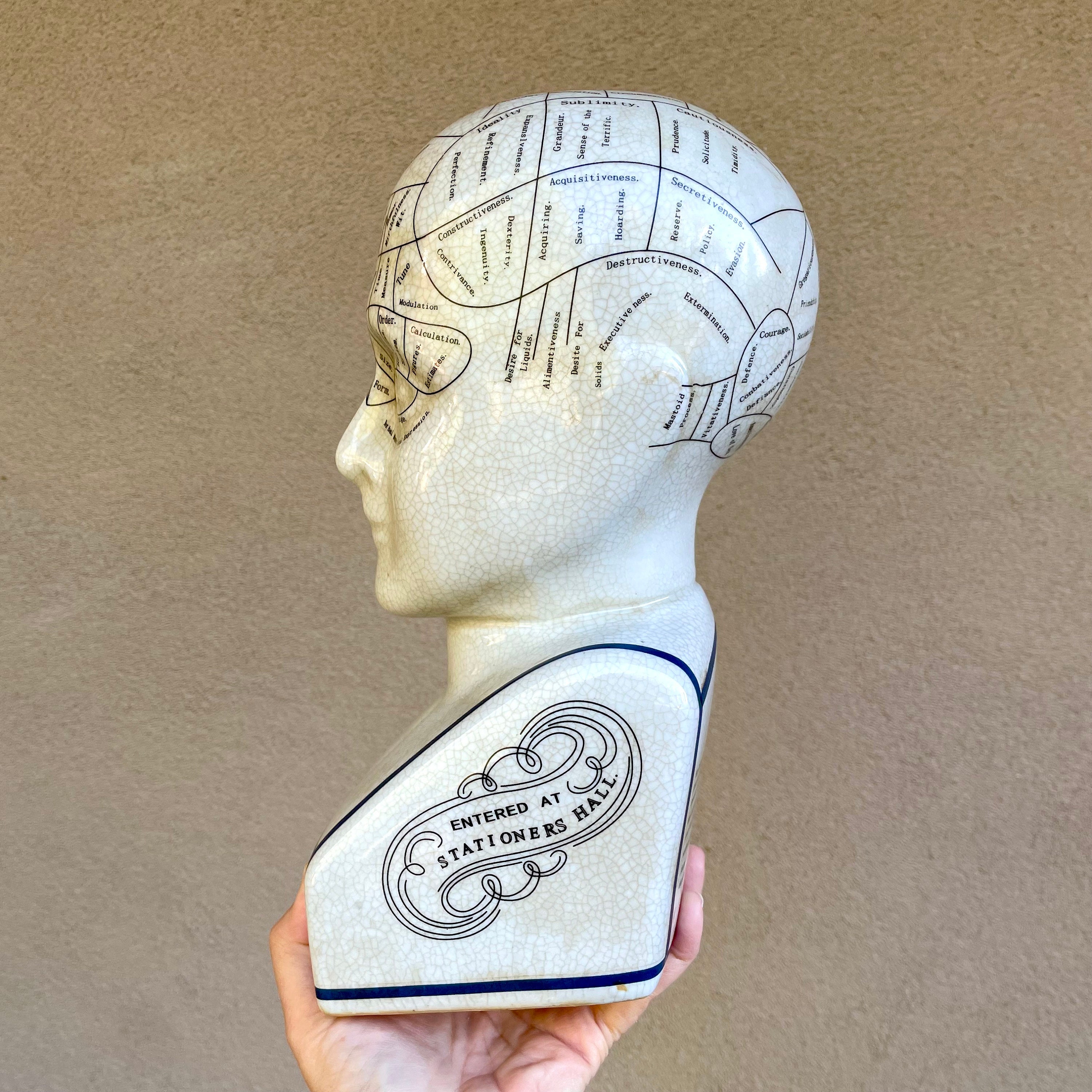 Phrenology Head