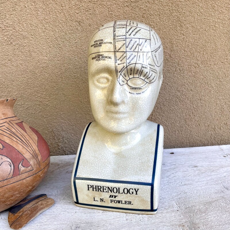 Phrenology Head - Etsy
