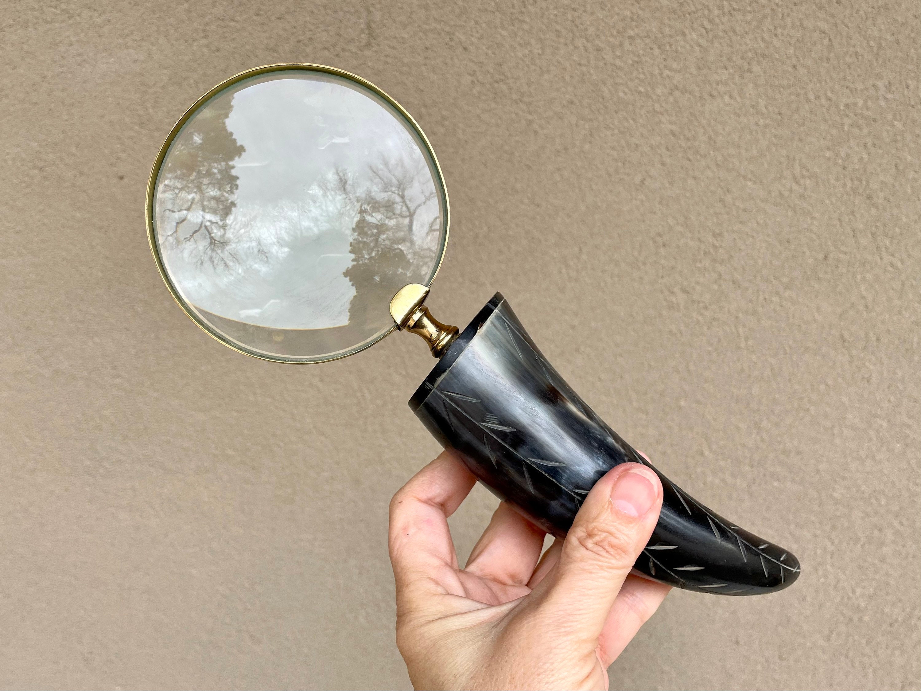 Vintage Carved Horn Handle Magnifying Glass with Brass Frame, Curiosity ...