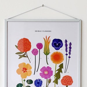 A3 Edible Flowers Print | Etsy