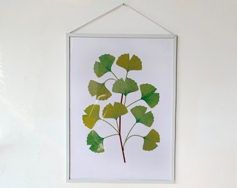 A3 Leaf Types Print | Etsy Australia