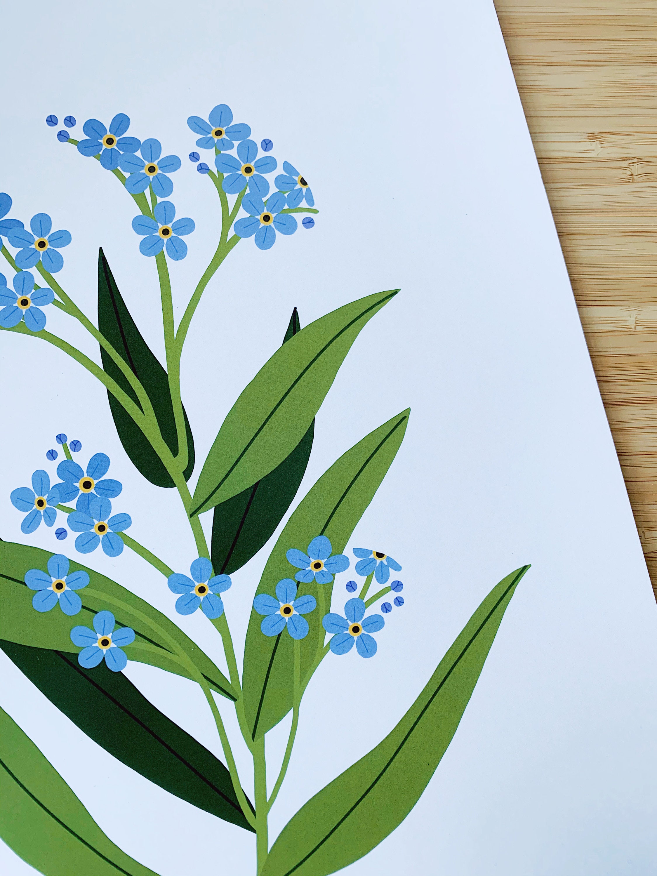 A3 Forget Me Not Print - Etsy UK