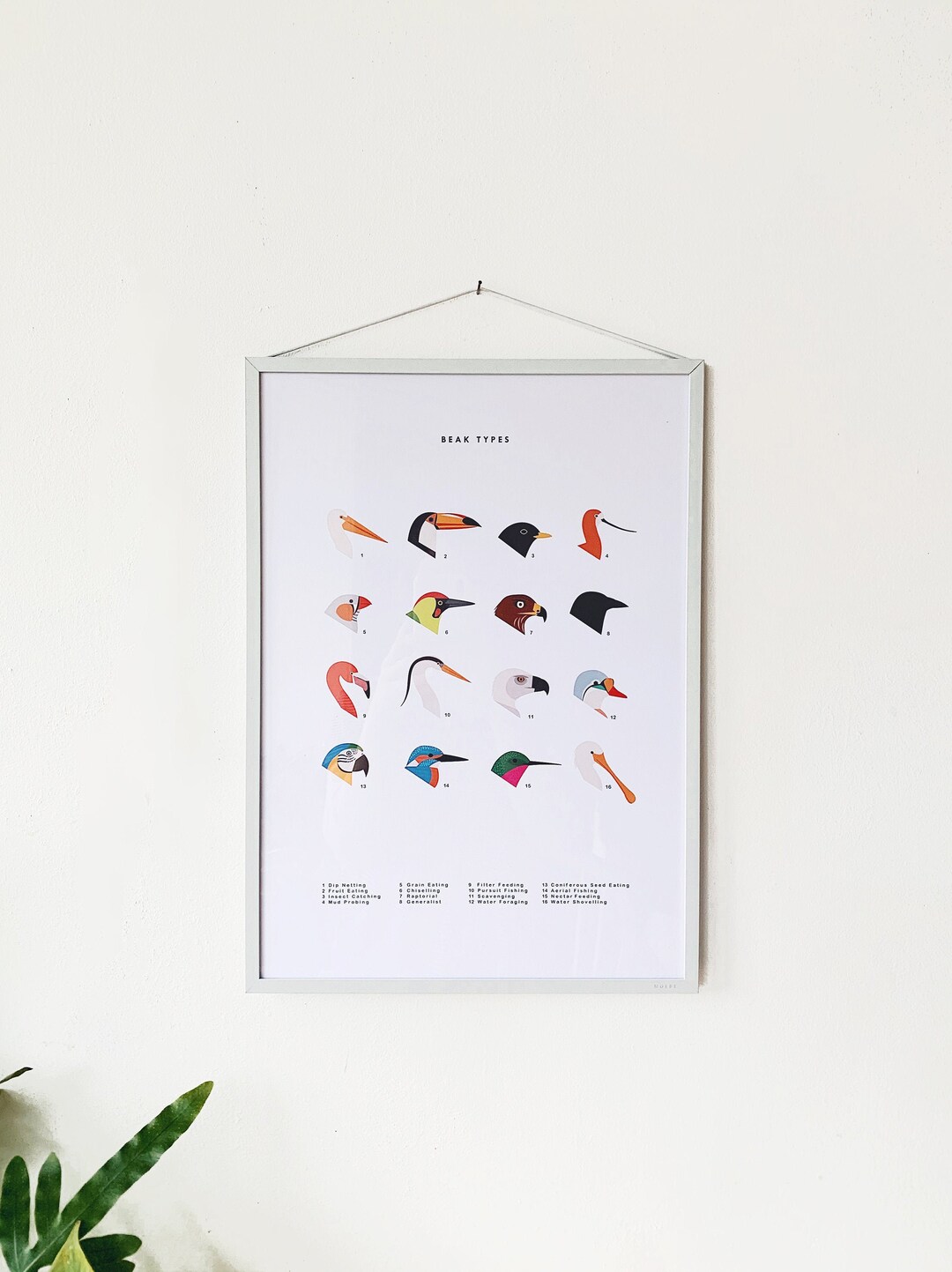A3 Bird Beaks Print - Etsy
