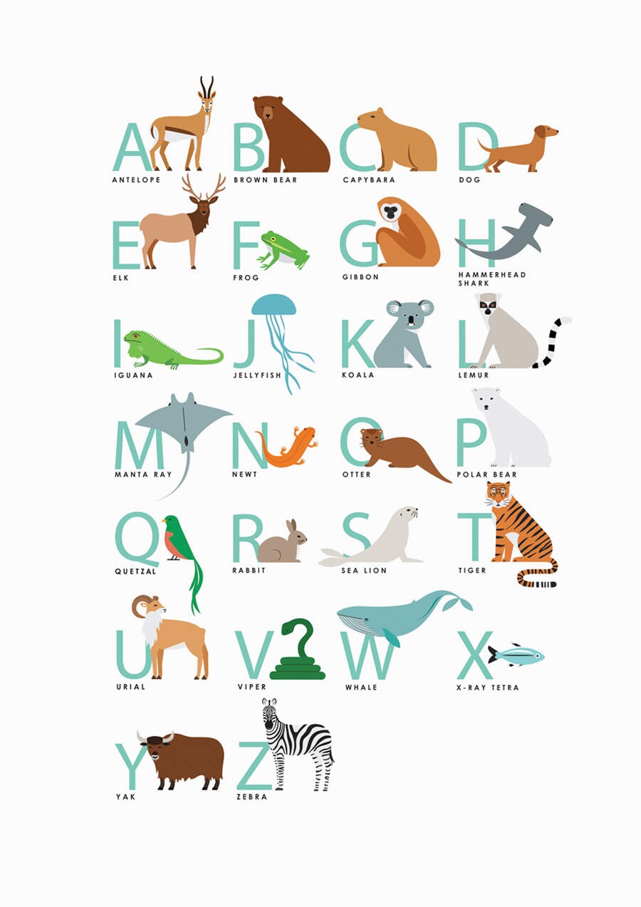 A3 Animal Alphabet Print - Etsy