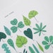 A3 Leaf Types Print - Etsy UK