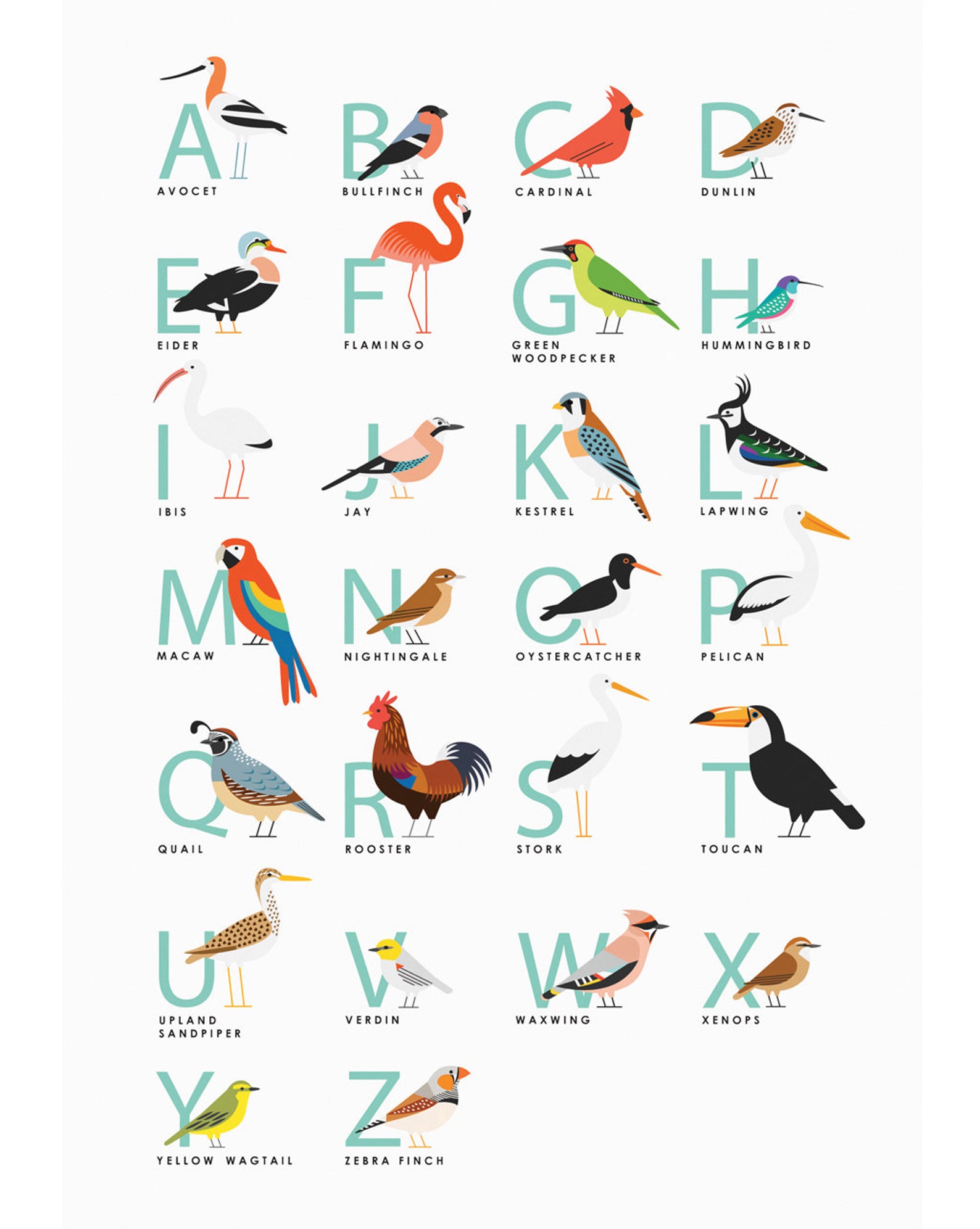 A3 Bird Alphabet Print - Etsy UK