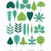 A3 Leaf Types Print - Etsy UK