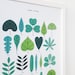 A3 Leaf Types Print - Etsy UK