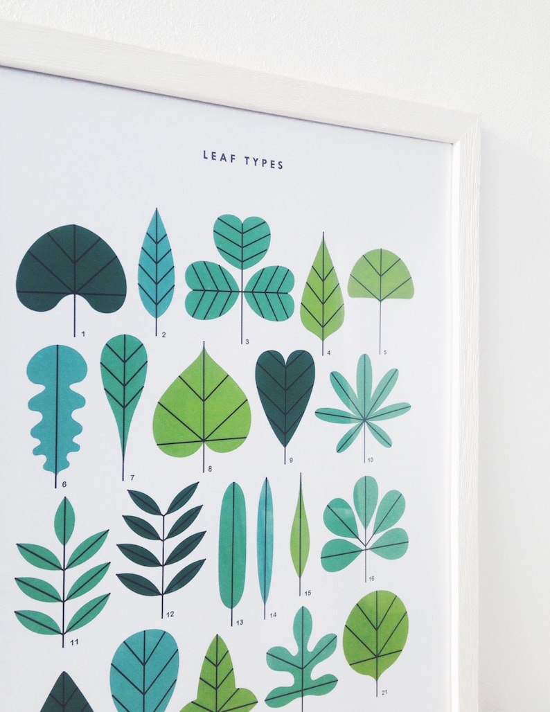 A3 Leaf Types Print - Etsy UK