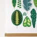 A3 Leaves Print - Etsy