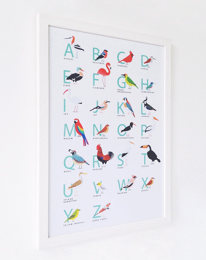 A3 Bird Alphabet Print - Etsy UK