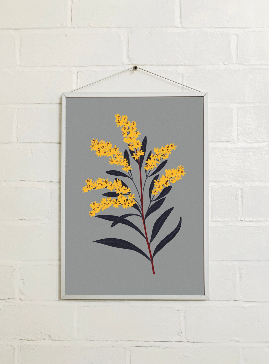 A3 Goldenrod Print - Etsy UK