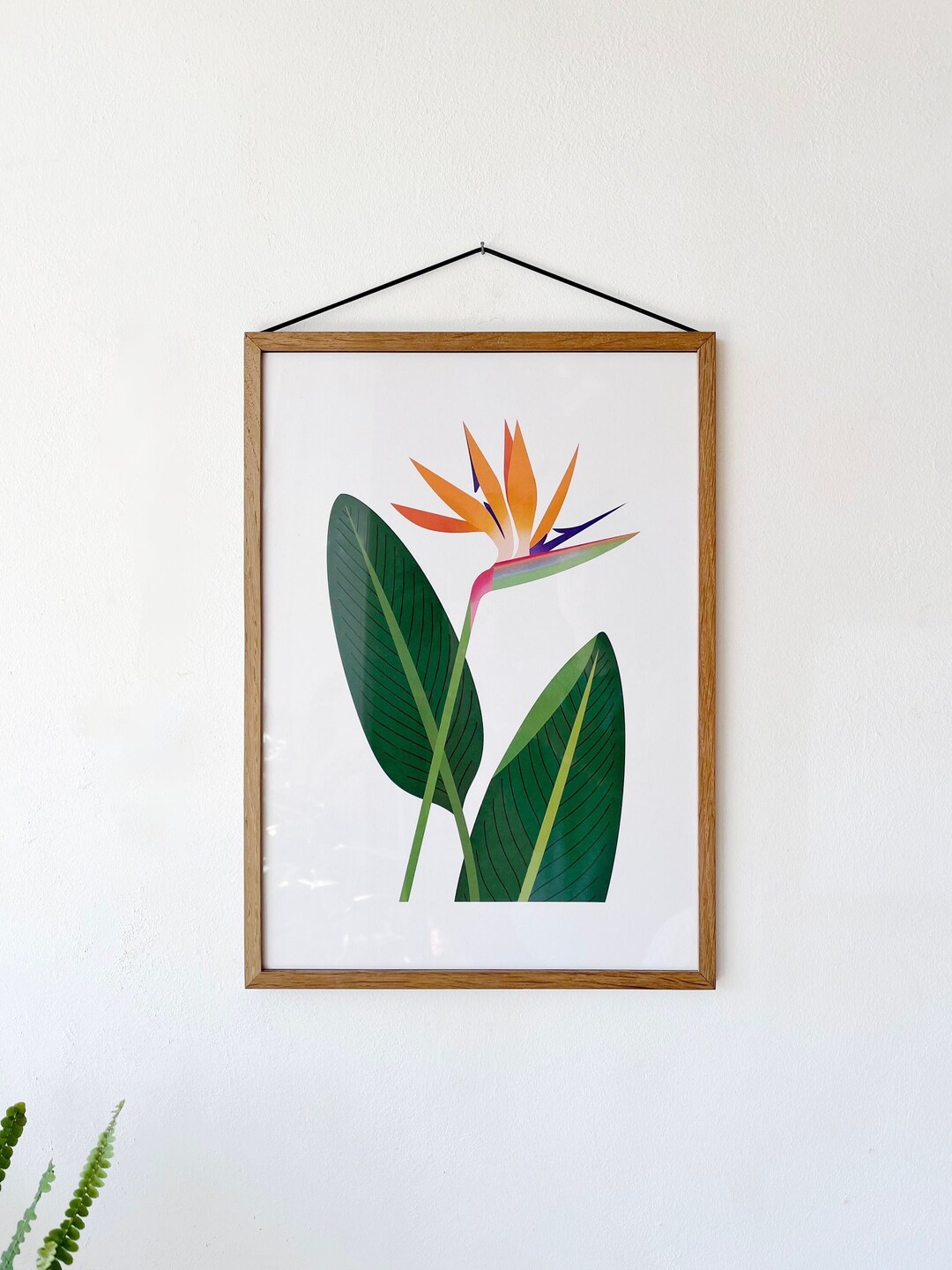 A3 Bird of Paradise Print - Etsy