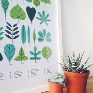 A3 Leaf Types Print - Etsy UK