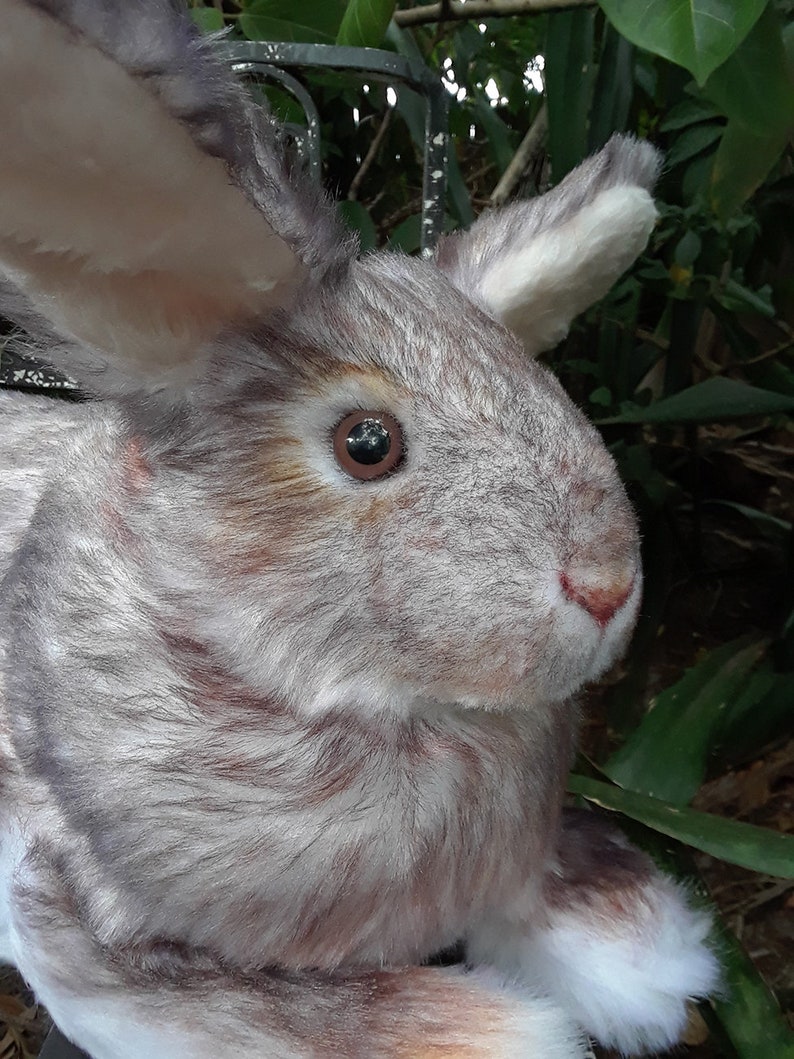 Custom Rabbit Bunny Portrait Plush - Etsy