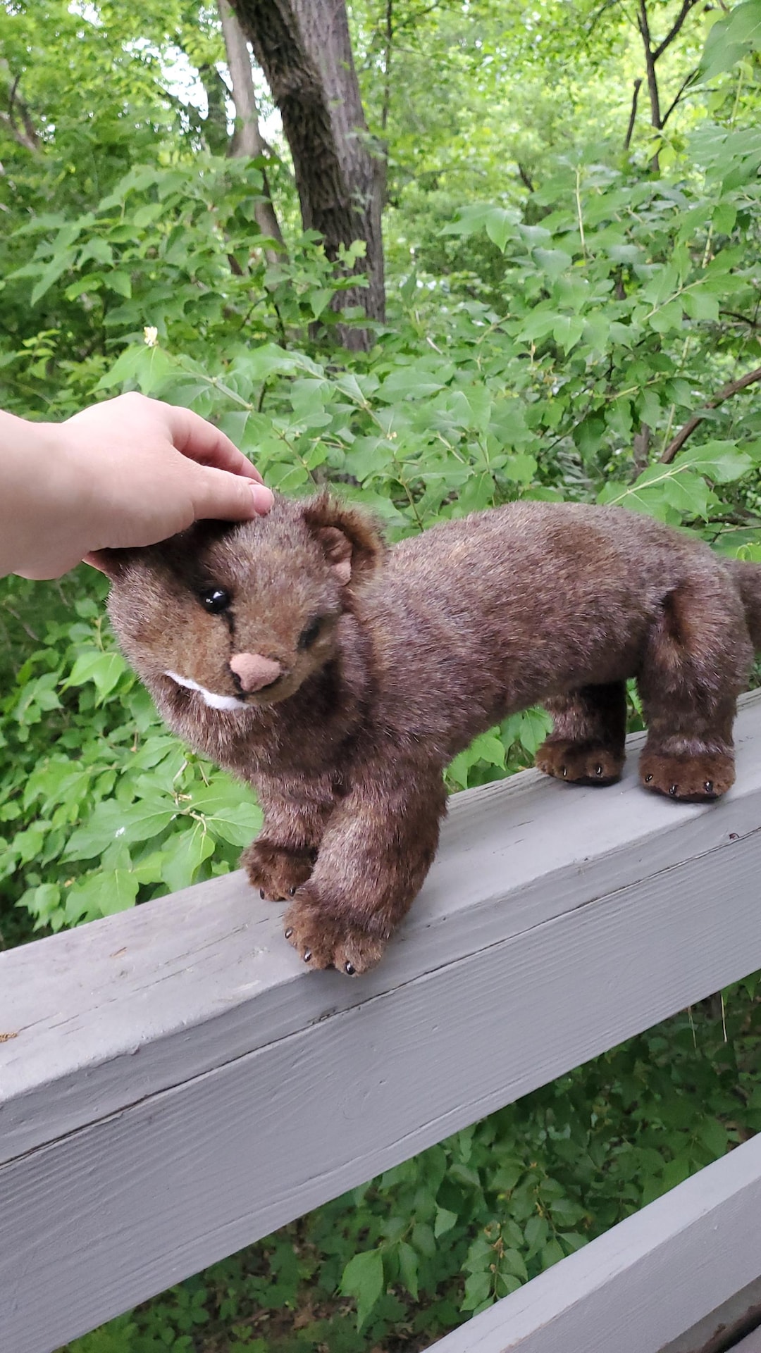 Realistic Ferret Mink Custom Made Portrait Plush - Etsy