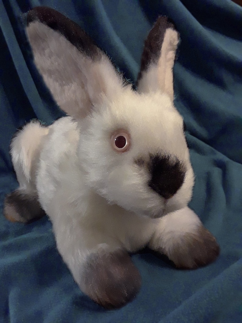 Custom Rabbit Bunny Portrait Plush - Etsy