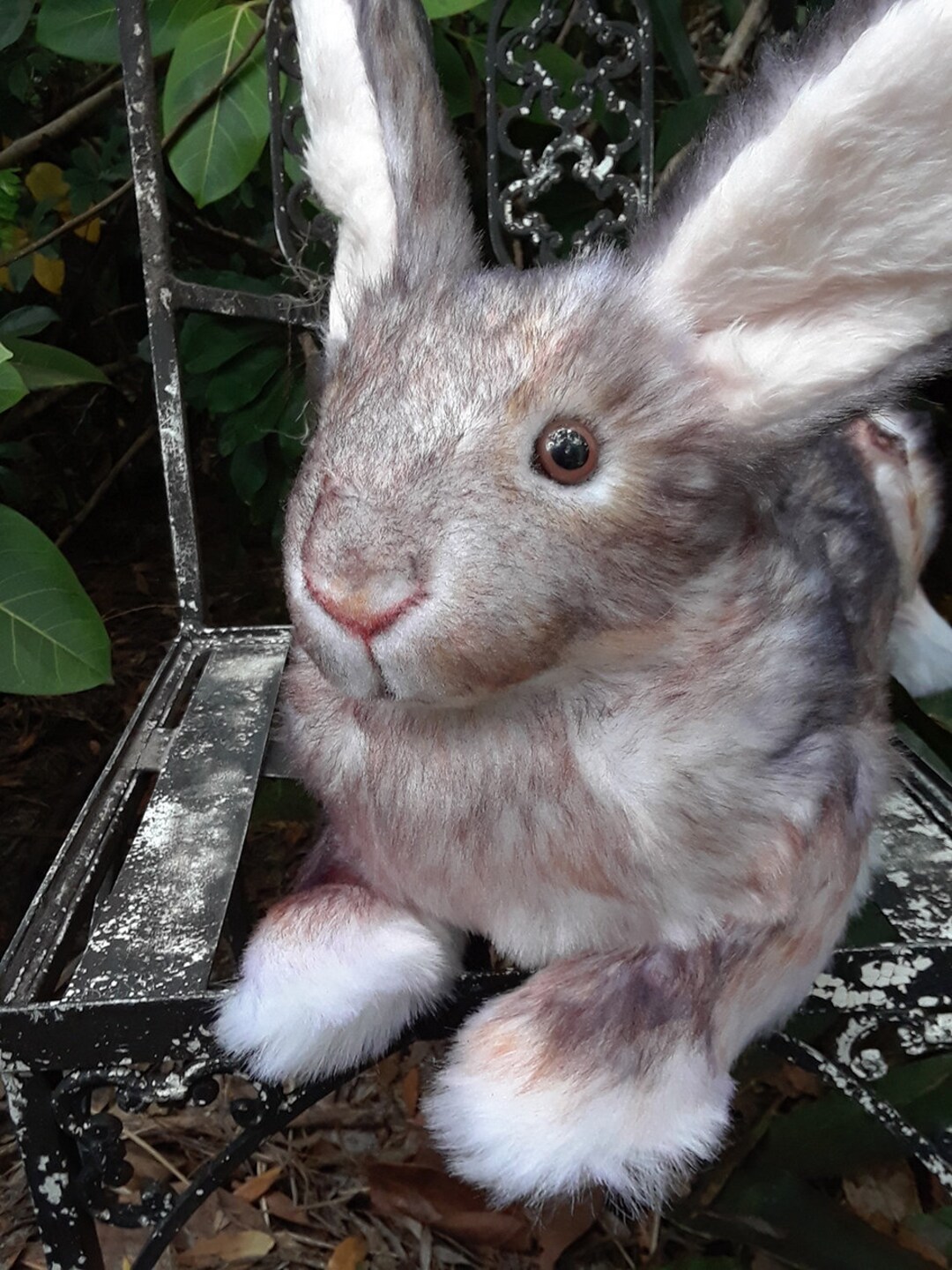 Custom Rabbit Bunny Portrait Plush - Etsy