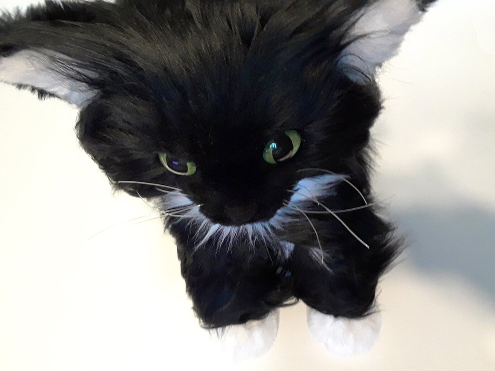 Cat Portrait Plush - Handmade Life-size Toy Cat - Etsy