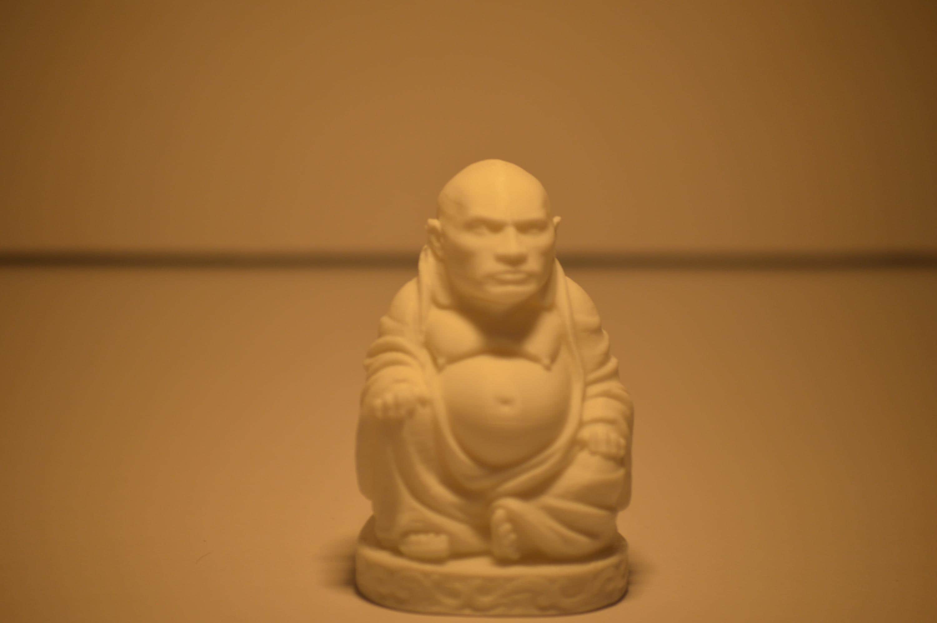 Dwayne ‘the Buddha ’ Johnson. Dwayne ‘the Rock’ Johnson and Buddha Mesh ...