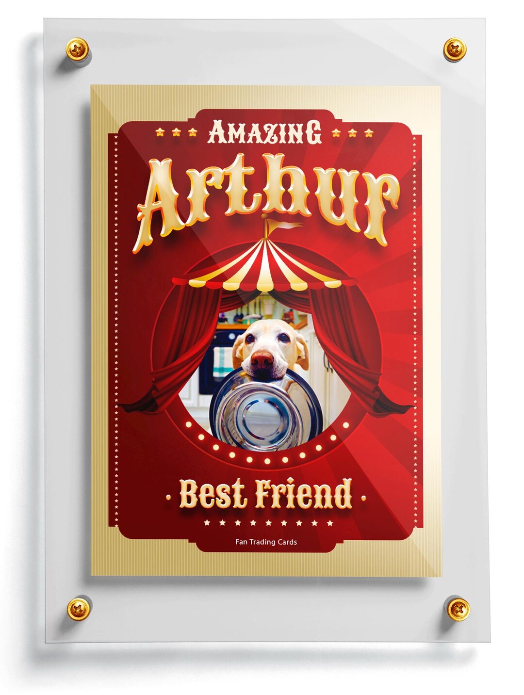Custom Pet Trading Card: Yellow Lab Card With Acrylic Case - Etsy