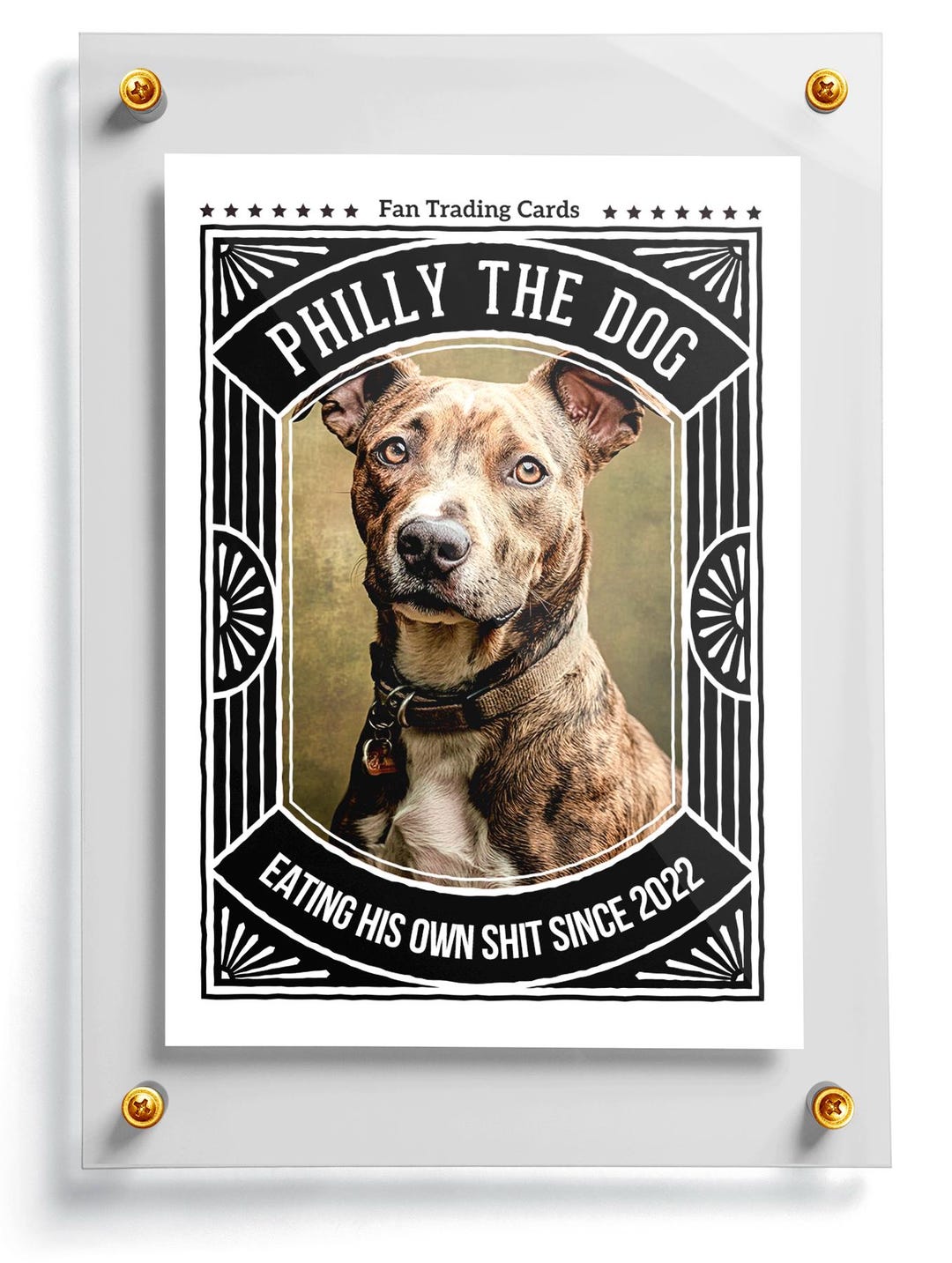 Adorable Pet Trading Card | Fan Card + Iron Stand | Pet Owner Gift ...