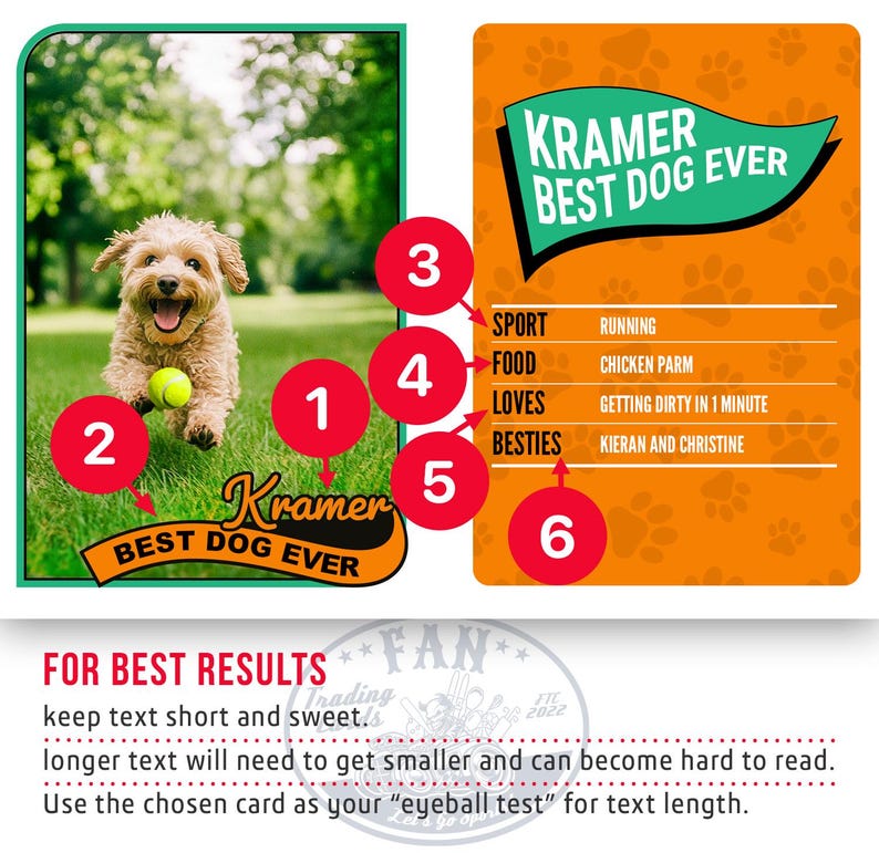 Custom Pet Trading Card: Dog Fan Card With Iron Stand - Etsy
