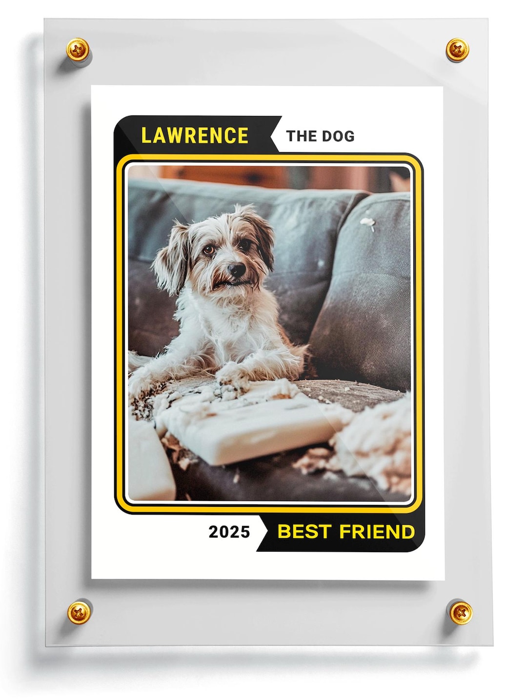 Pet Baseball Trading Card | Acrylic Case + Iron Stand | Gift for Dog ...