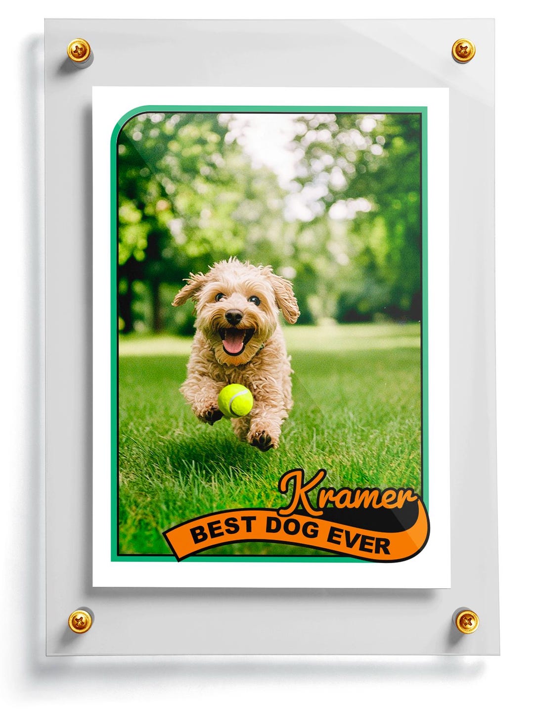 Make A Custom Pet Trading Card | Dog Fan Card + Iron Stand | Dog Owner ...