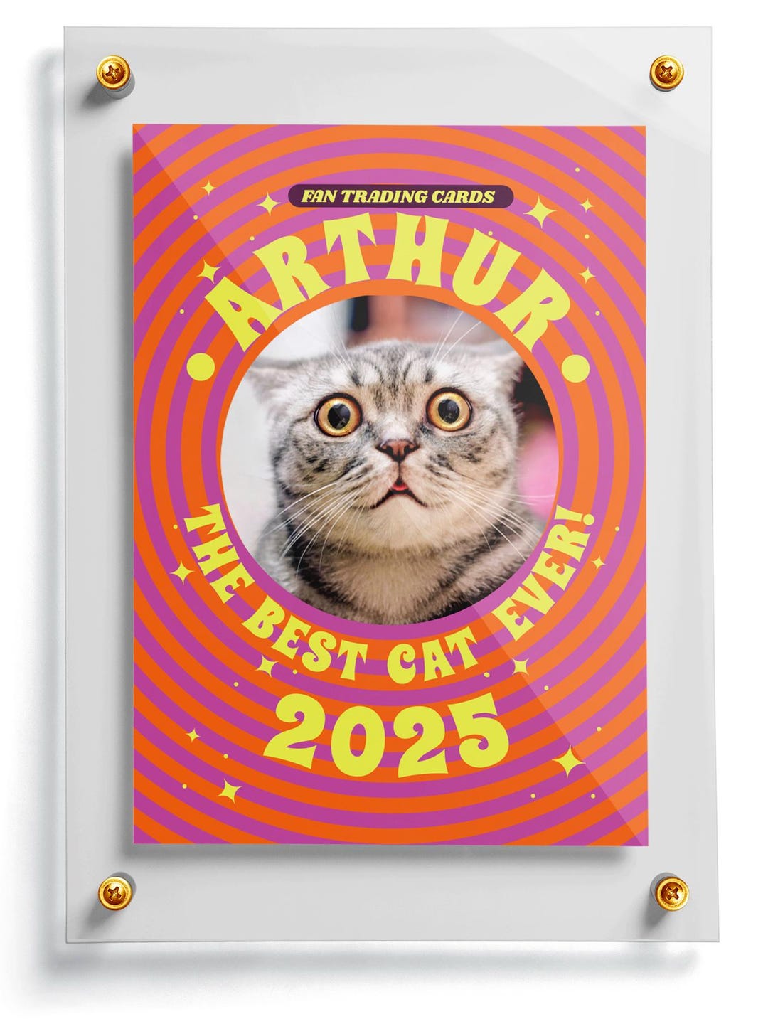 Create Your Own Cat Trading Card | Custom Cat Card + Acrylic Case | Cat ...