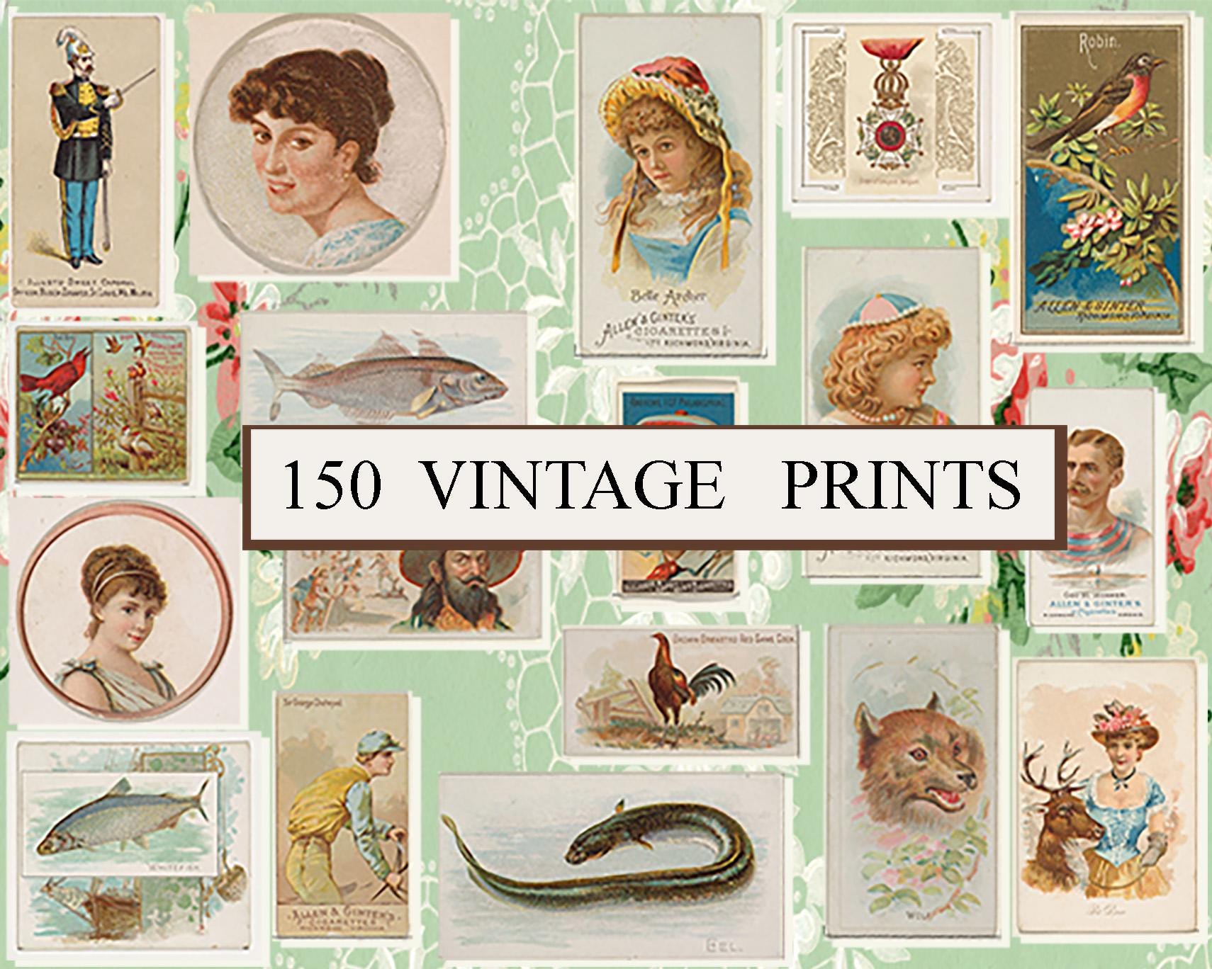 150 Prints From the 1800s - Vintage Wall Art Collection - Classic - Timeless Quality ...