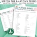 Anatomy Matching Game, Nursing Trivia, Medical Games, Nursing Games ...