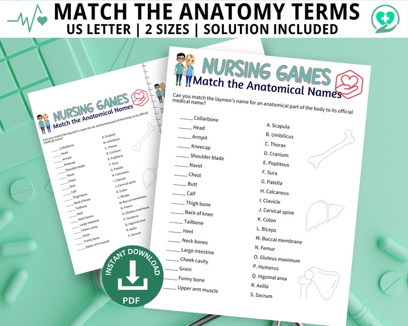 Anatomy Matching Game, Nursing Trivia, Medical Games, Nursing Games ...