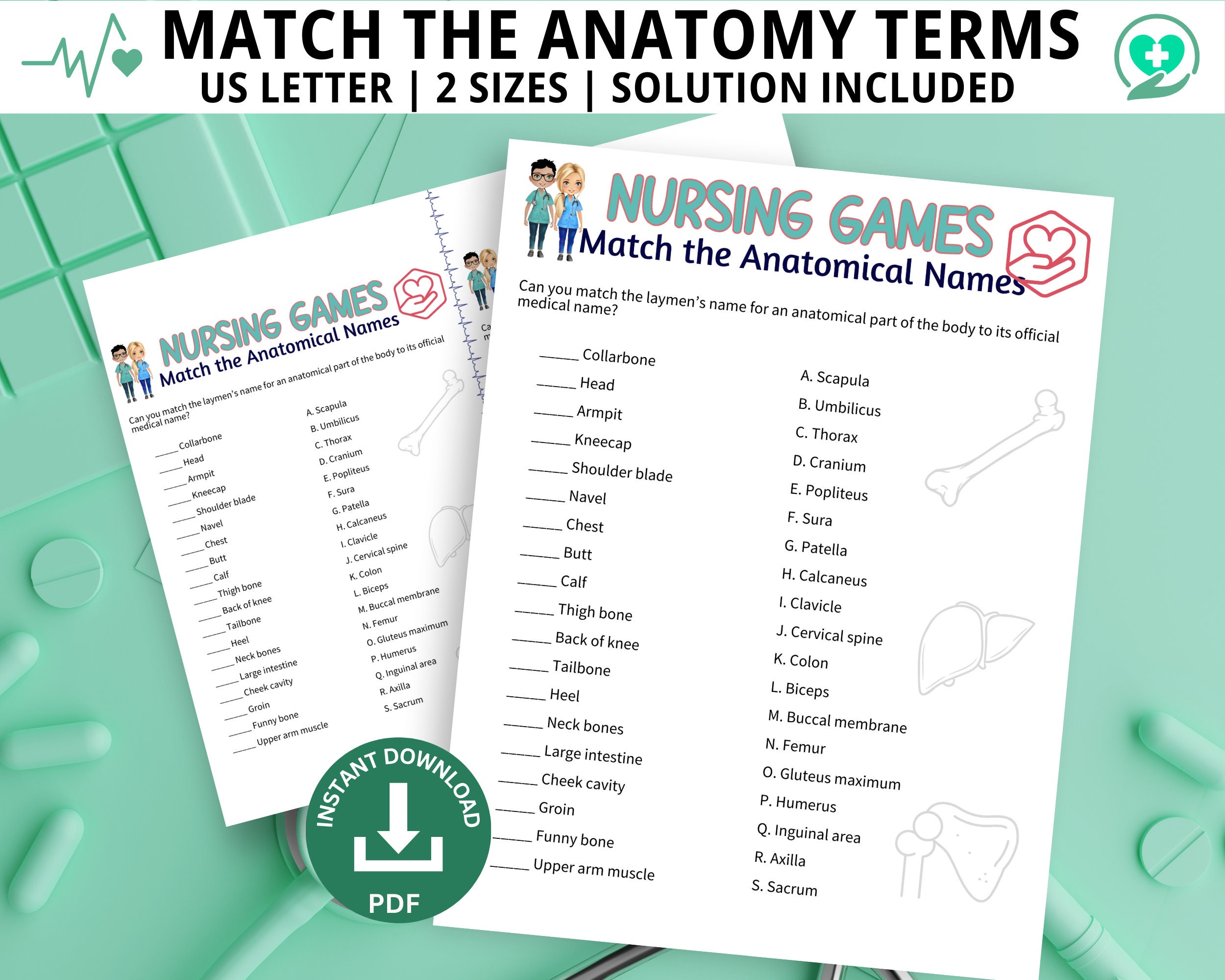 Anatomy Matching Game, Nursing Trivia, Medical Games, Nursing Games ...