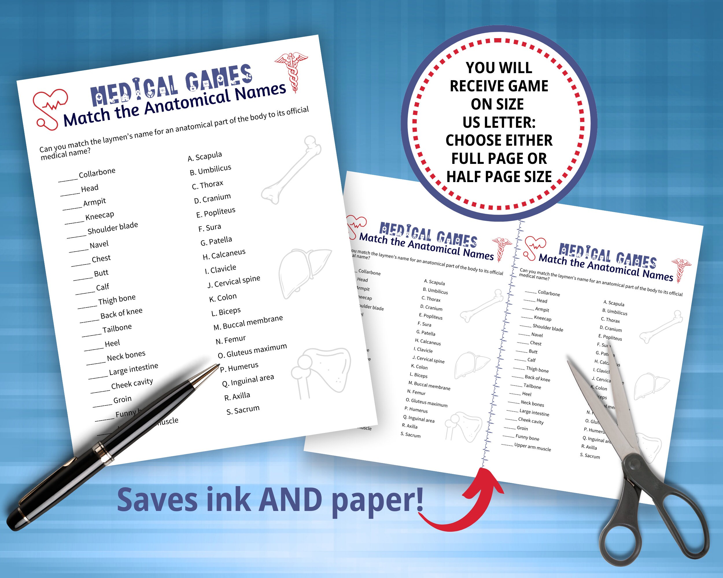 Anatomy Terms Matching Game, Medical Trivia, Health Trivia, Medical ...