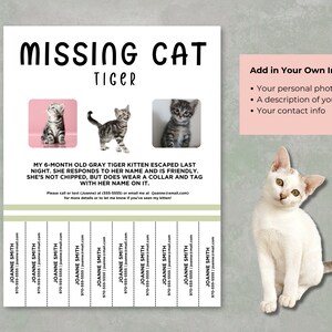 Lost Cat Flyer, Tear-off Flyer Template, Missing Cat Poster, Lost Kitty ...