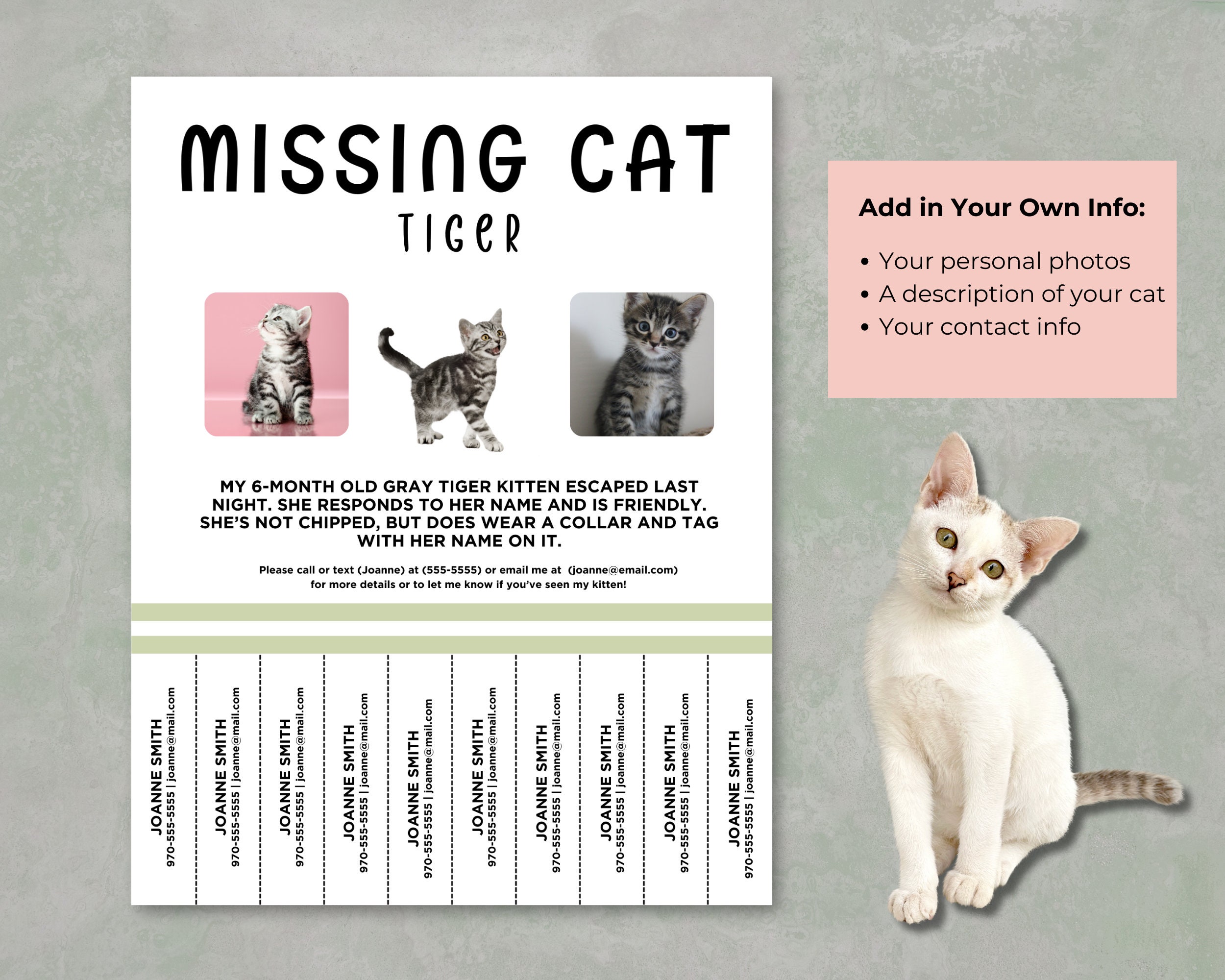 Lost Cat Flyer, Tear-off Flyer Template, Missing Cat Poster, Lost Kitty ...