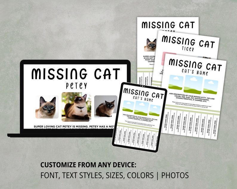 Lost Cat Flyer, Tear-off Flyer Template, Missing Cat Poster, Lost Kitty ...