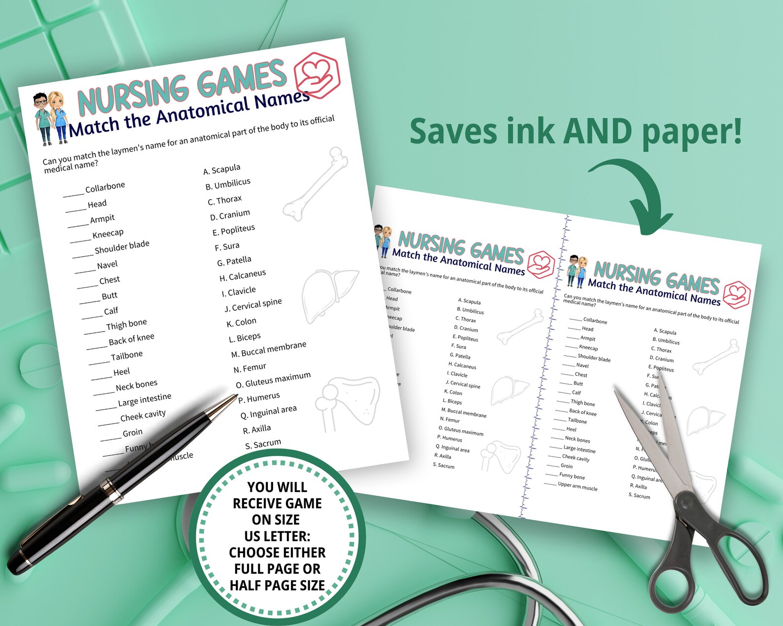 Anatomy Matching Game, Nursing Trivia, Medical Games, Nursing Games ...