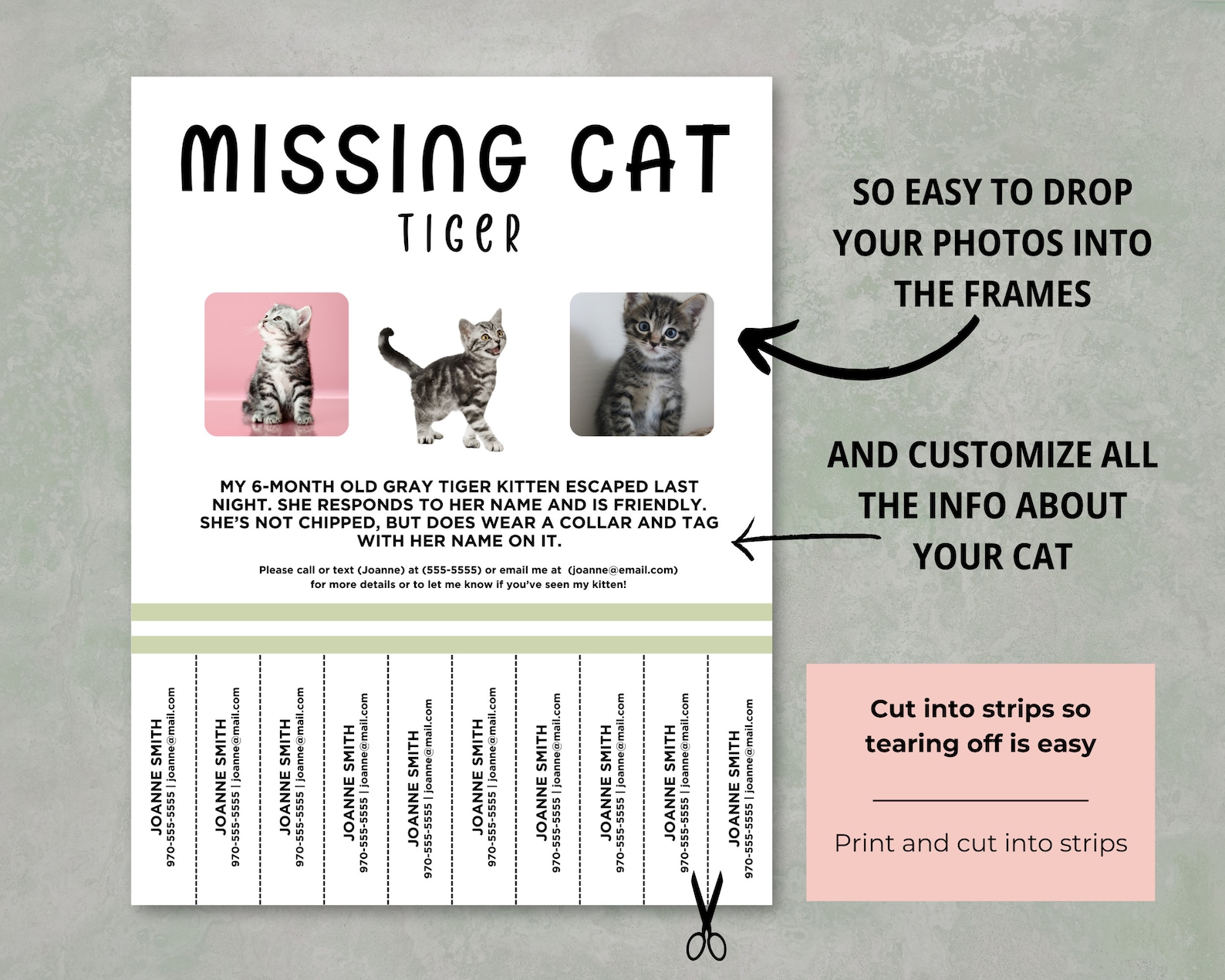 Lost Cat Flyer, Tear-off Flyer Template, Missing Cat Poster, Lost Kitty ...