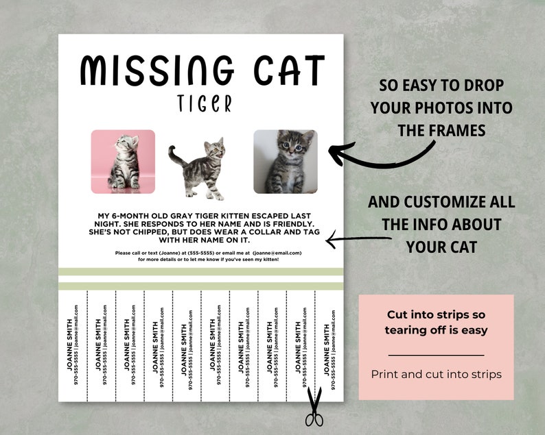 Lost Cat Flyer, Tear-off Flyer Template, Missing Cat Poster, Lost Kitty ...