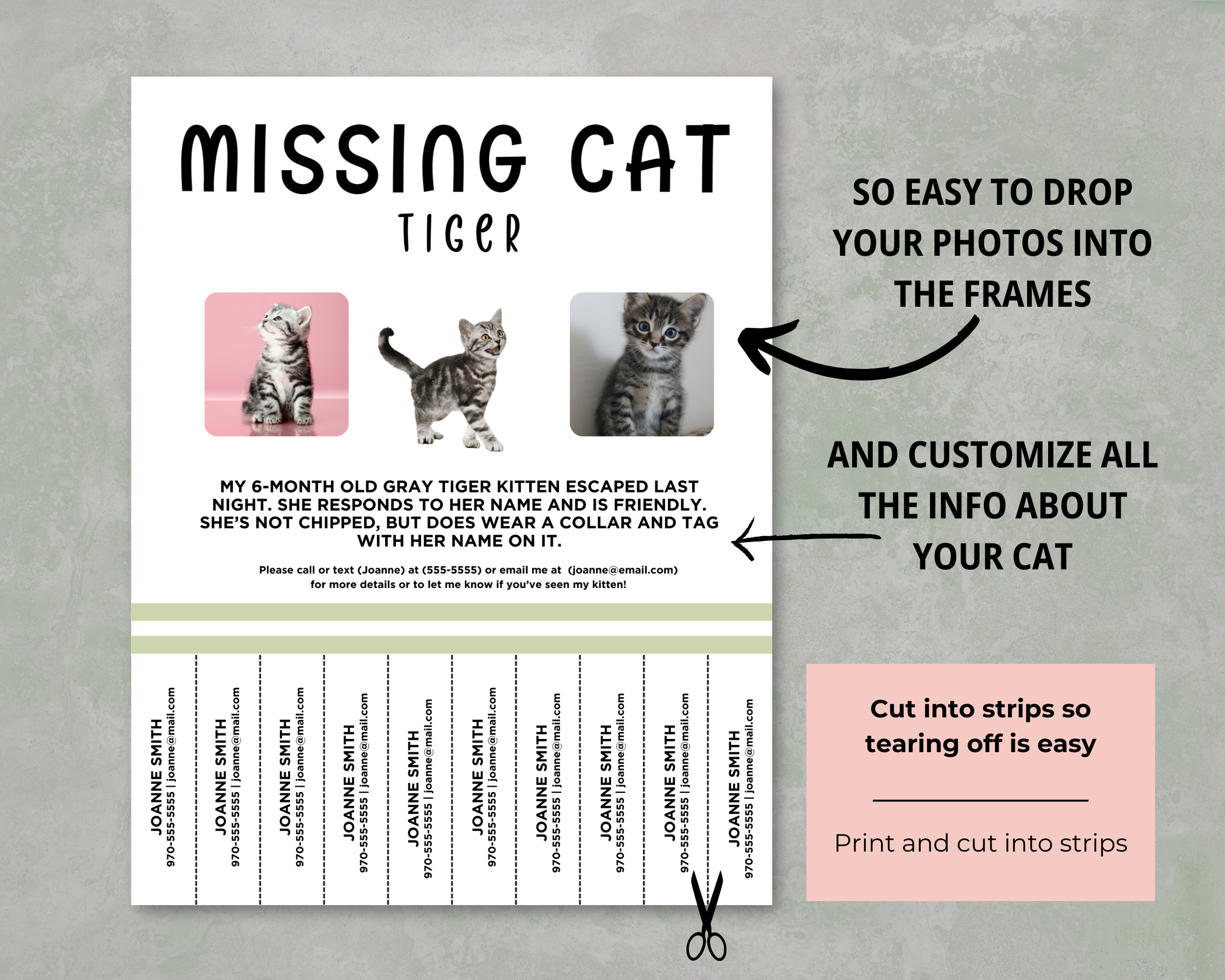 Lost Cat Flyer, Tear-off Flyer Template, Missing Cat Poster, Lost Kitty, Lost Pet, Lost Cat ...