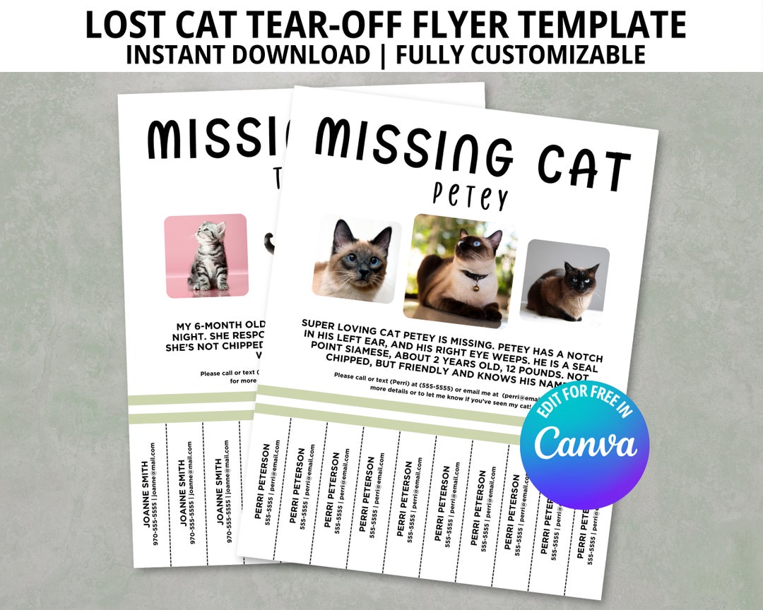 Lost Cat Flyer, Tear-off Flyer Template, Missing Cat Poster, Lost Kitty, Lost Pet, Lost Cat ...