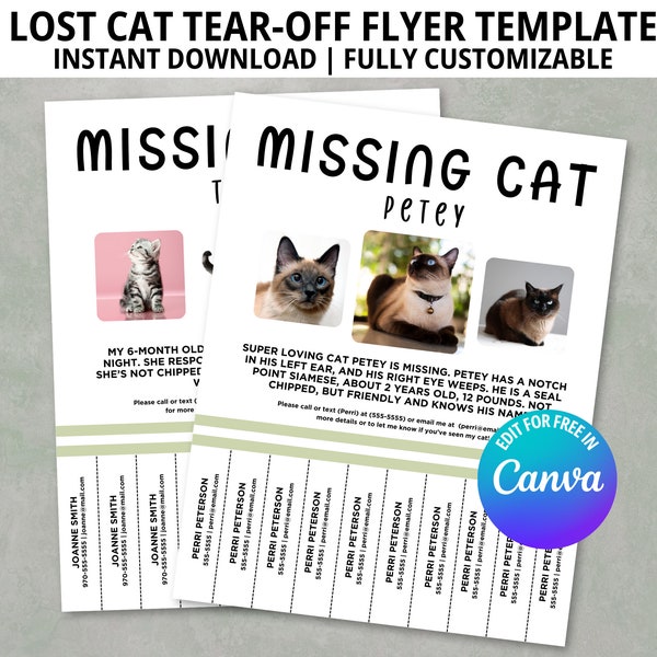Missing Cat Posters - Etsy