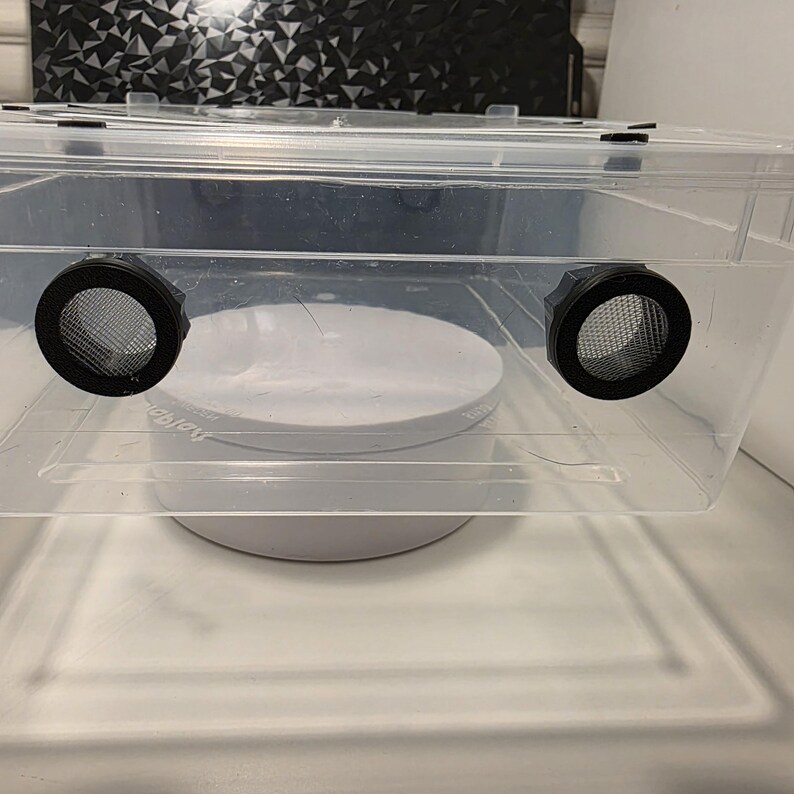 Vented Isopod / Invertebrate Breeding Box – Clear Plastic Enclosure ...