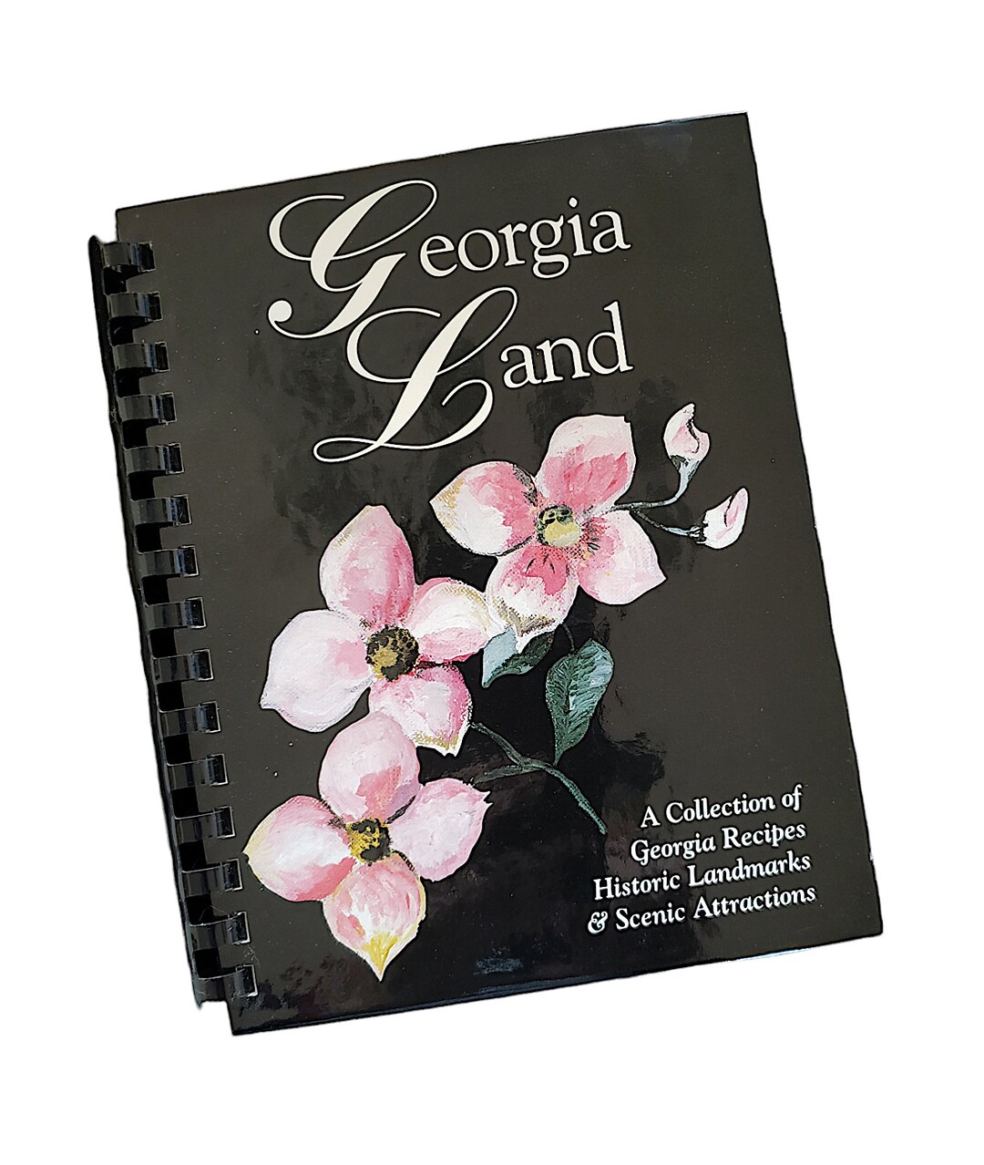 Georgia Land Cookbook A Collection of Georgia Recipes Historic ...