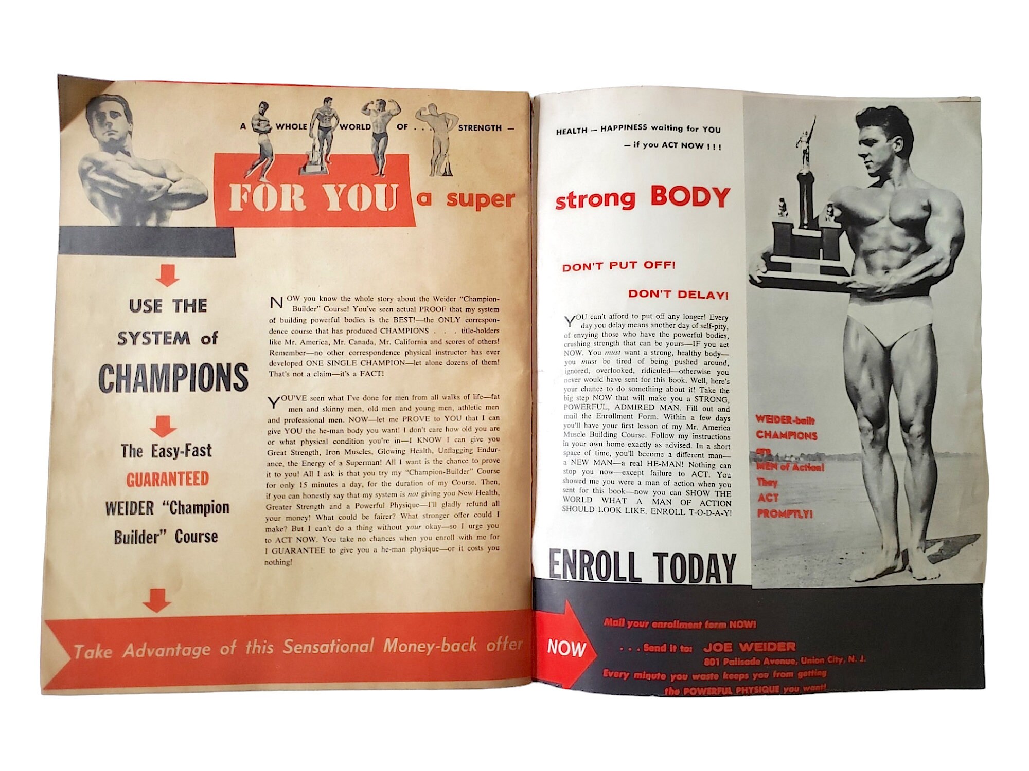 How to Build a Strong Muscular Body With Weider as Your Leader - Etsy