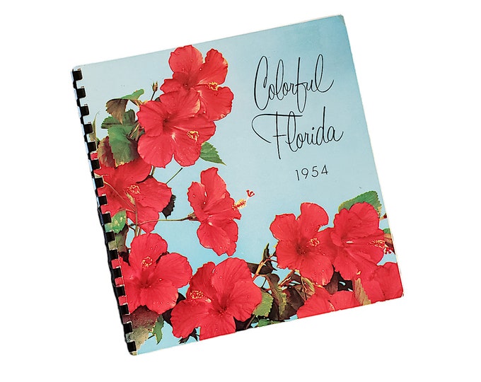 Colorful Florida 1954 Unused Desk Calendar Planner Daily Diary ...