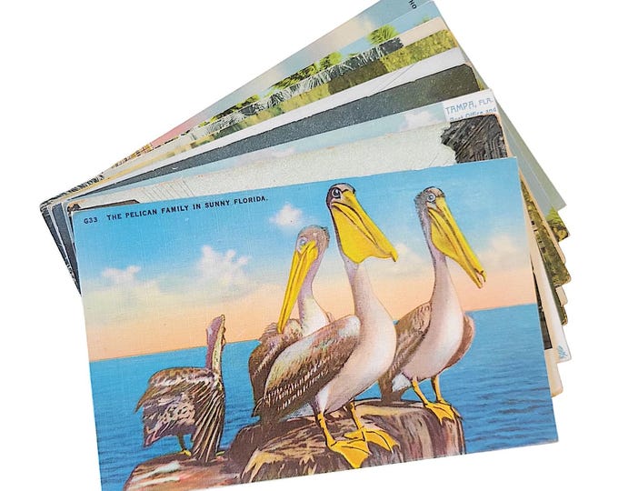 Florida Vintage Postcards Jacksonville Tampa Miami Lot of 10 Never ...